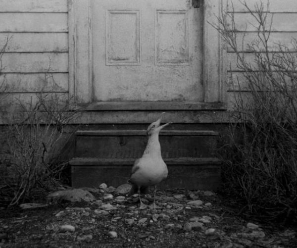 'The Lighthouse' Explained: Mermaids, Myths & Madness